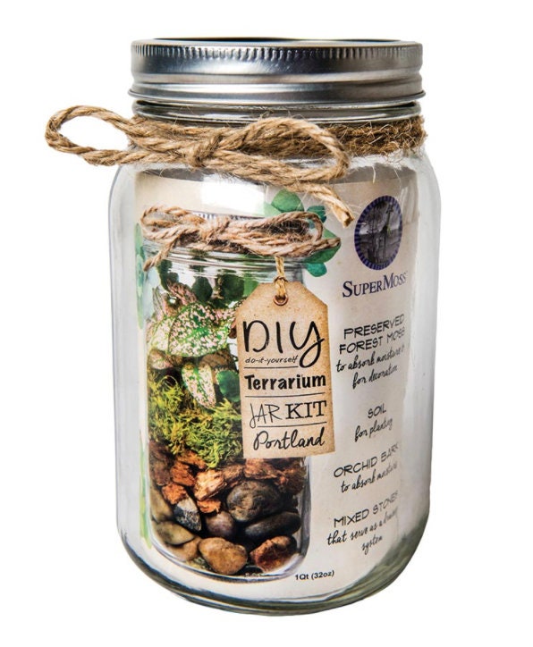 Terrarium Kit - Etsy