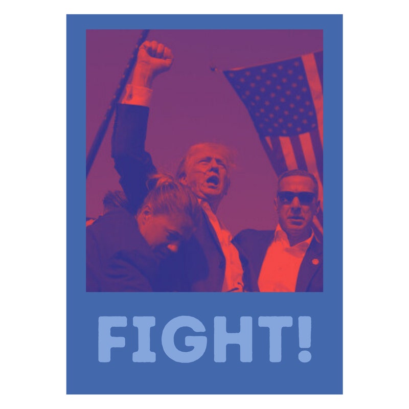 Political Cross Stitch Patterns - Etsy