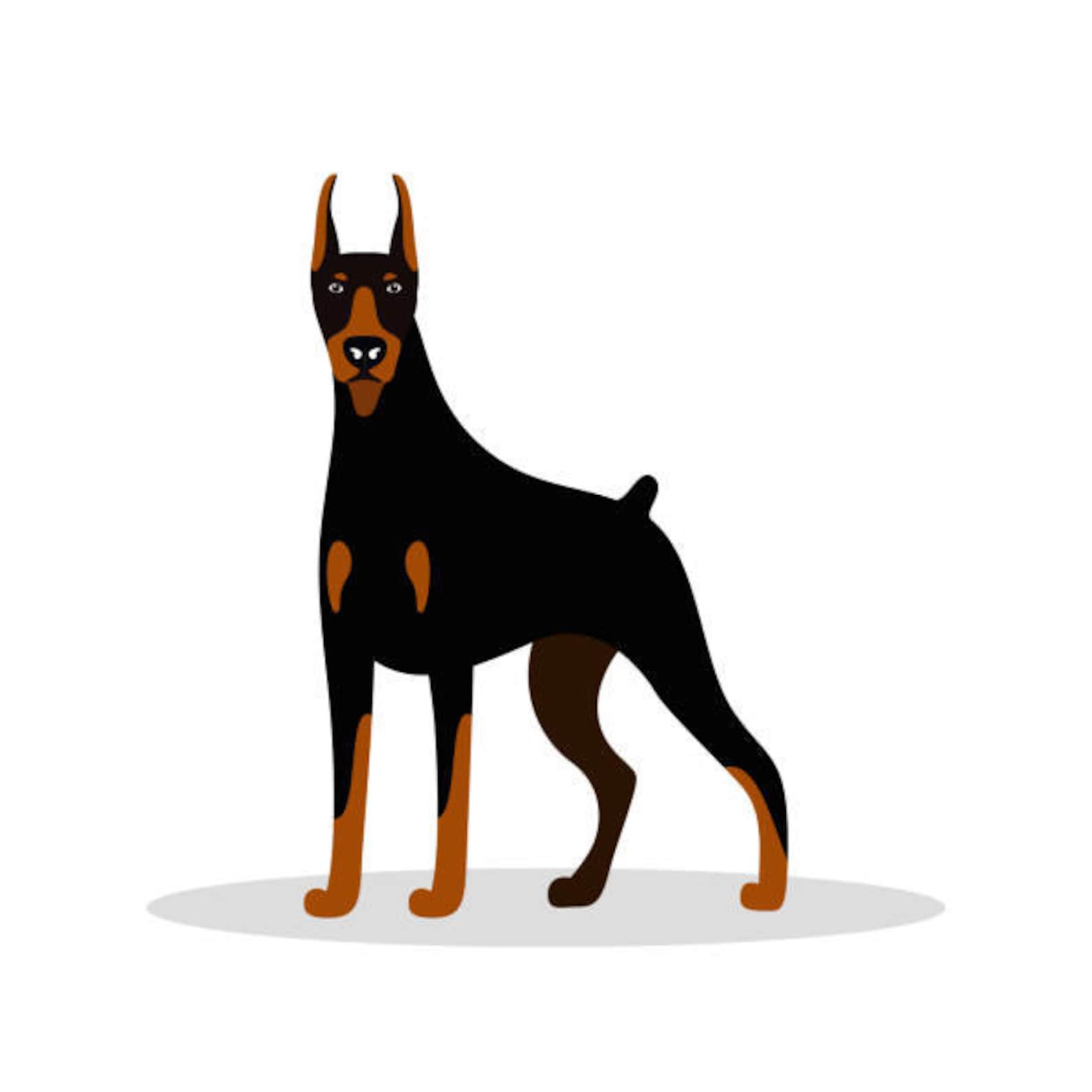 File Bundle: Doberman Image in JPG, PNG, and Cross Stitch Pattern PDF ...