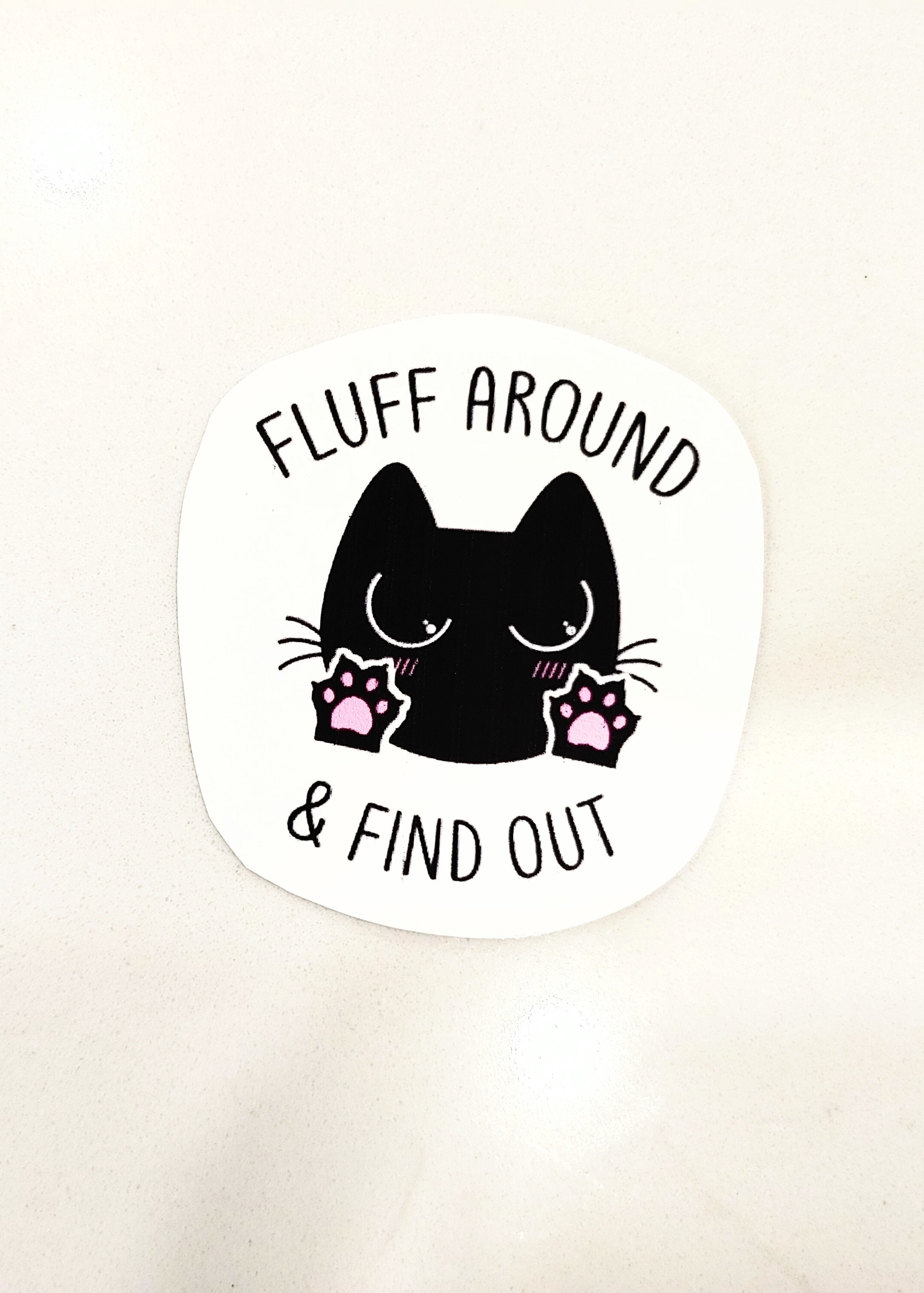 Fluff Around and Find Out Sticker, Cat Pun Sticker, FAST Shipping, FREE ...