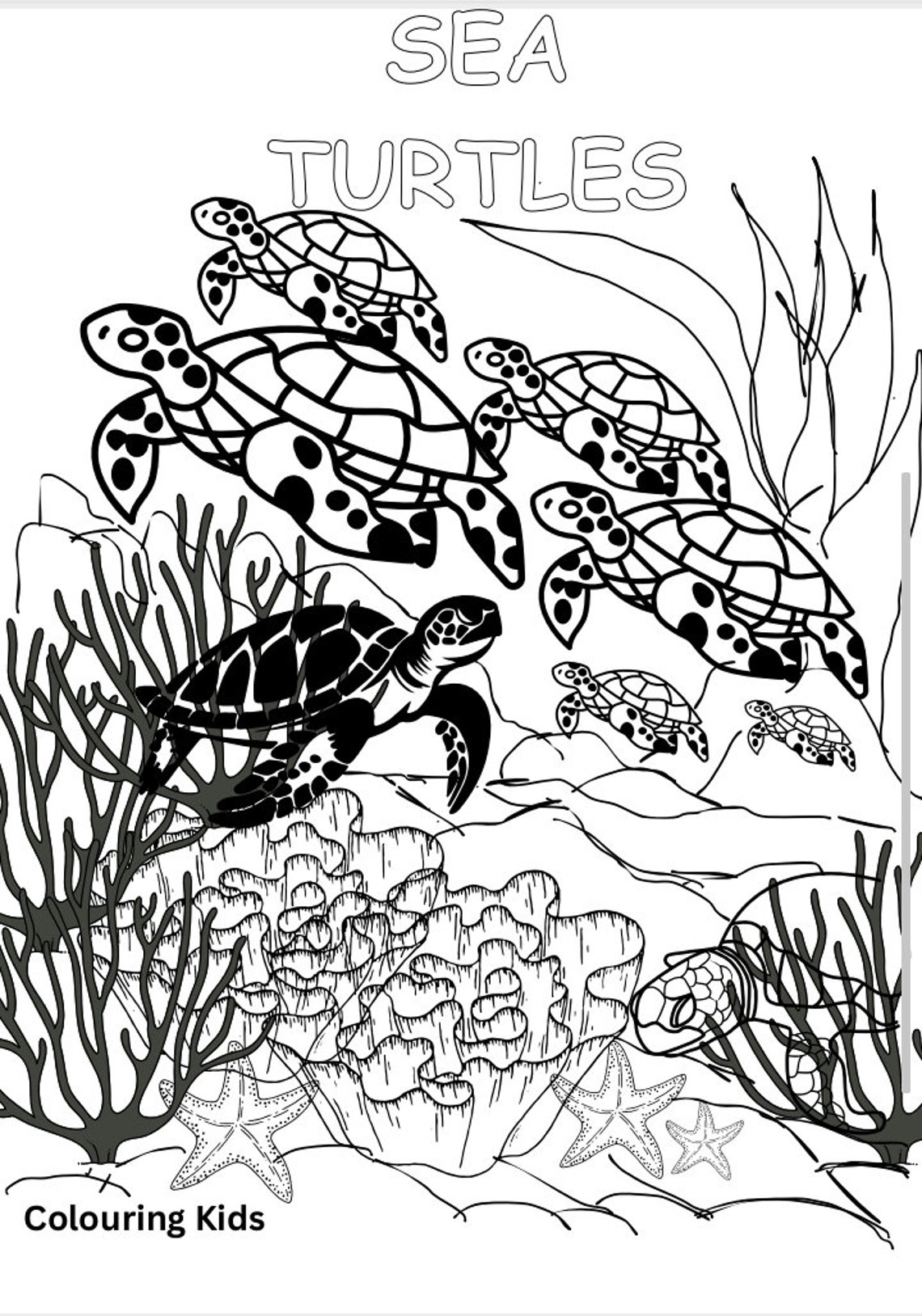 Printable Colouring Drawings All in One ( 4 Pieces) - Etsy