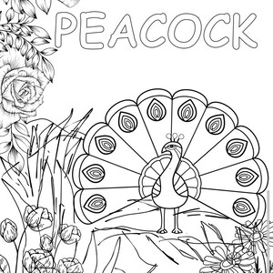 Printable Colouring Drawings All in One ( 4 Pieces) - Etsy
