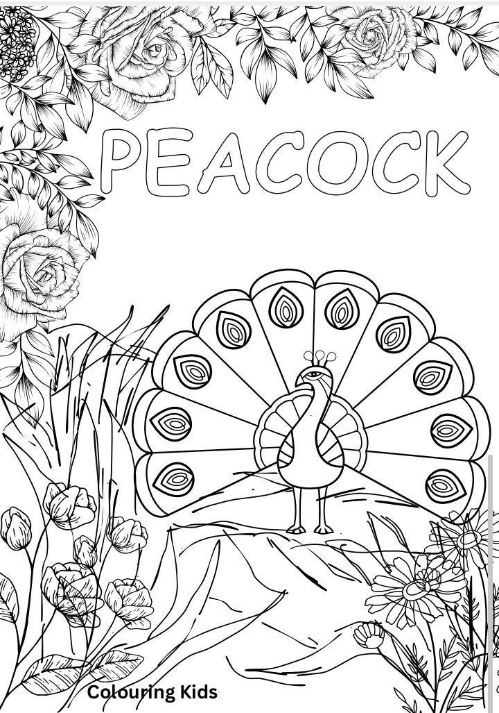Printable Colouring Drawings All in One ( 4 Pieces) - Etsy