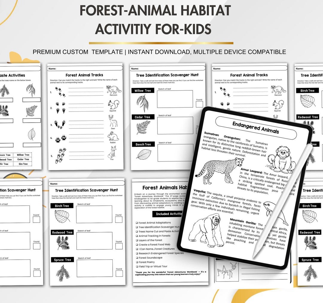 Forest Animal Habitat Matching Game | Preschool Printable (digital ...