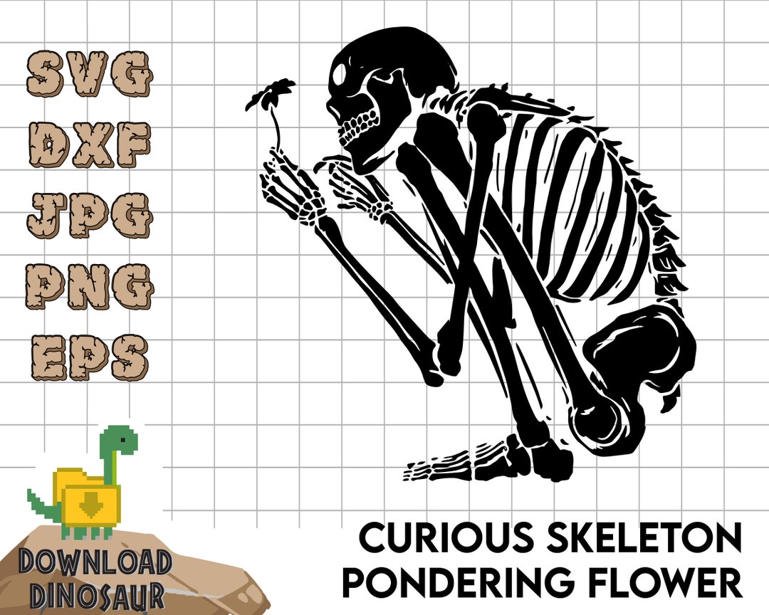 Skeleton Clipart, Stay Curious, Funny Halloween SVG, Funny Halloween ...