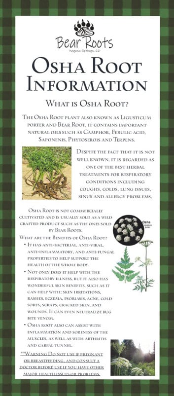 Osha Root Tea - Etsy