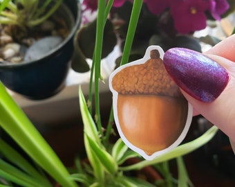 Cute Kawaii Acorn Stickers Labels Vinyl Stickers Postage - Etsy UK