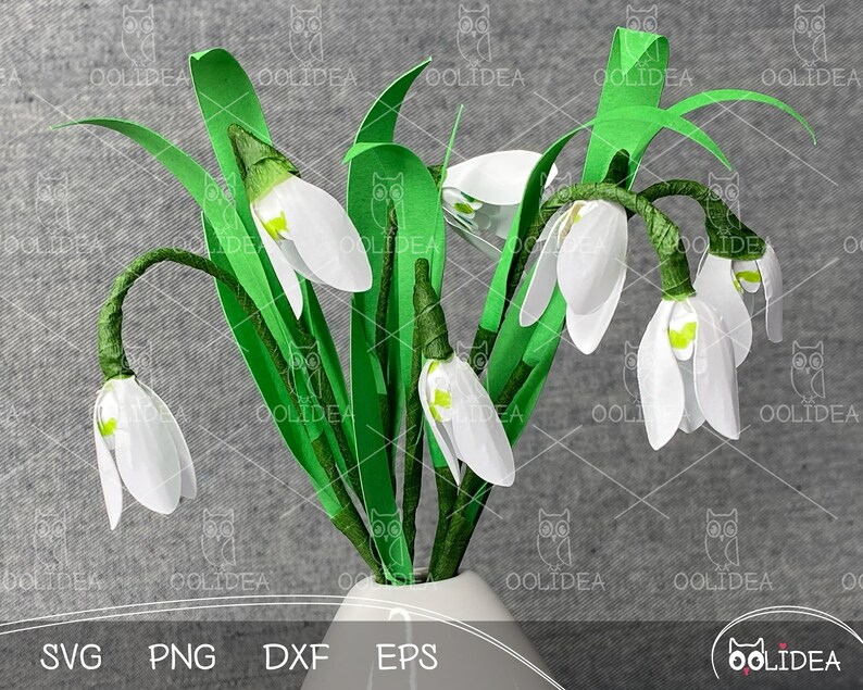 Snowdrop SVG Paper Flower Template Spring Snowdrops Paper - Etsy