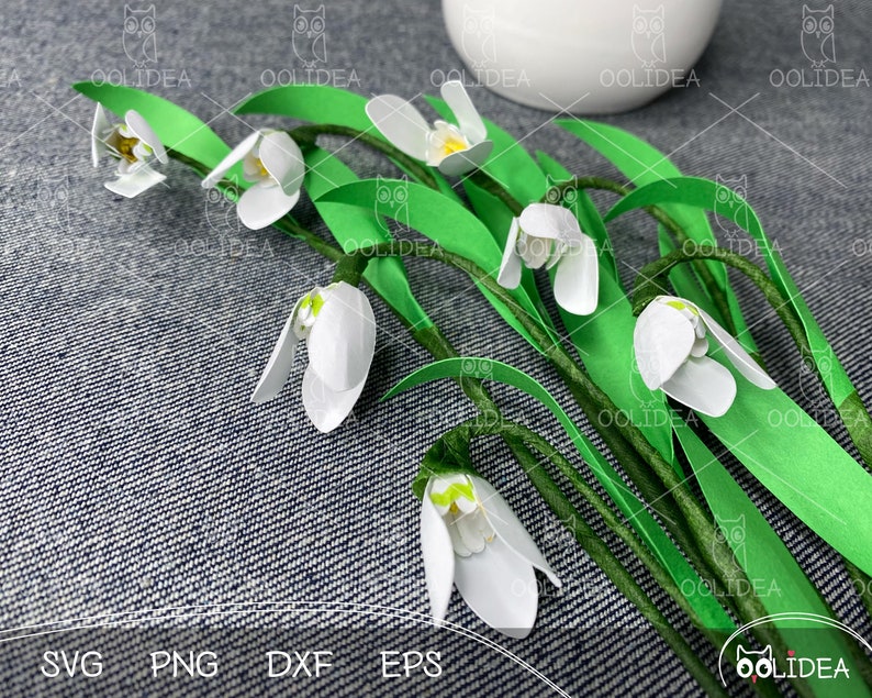 Snowdrop SVG Paper Flower Template Spring Snowdrops Paper - Etsy
