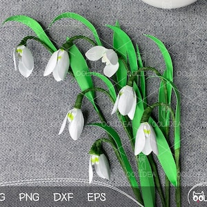 Snowdrop SVG Paper Flower Template: Spring DIY Cut File With Step-by ...