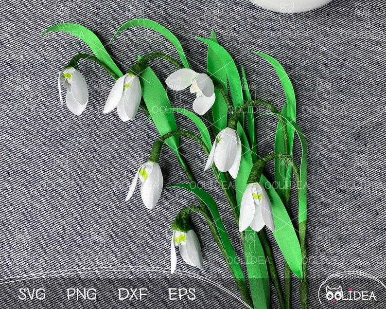 Snowdrop SVG Paper Flower Template Spring Snowdrops Paper - Etsy