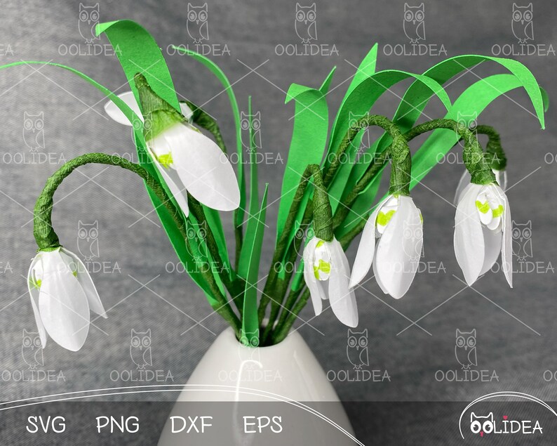 Snowdrop SVG Paper Flower Template Spring Snowdrops Paper - Etsy
