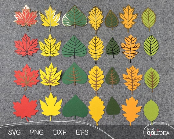 Leaf SVG Layered Leaf SVG Bundle Autumn Leaves Svg Fall - Etsy