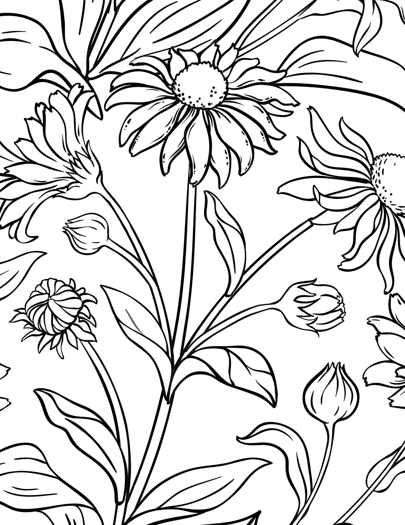 Plant Wallpaper Coloring Sheets - Etsy