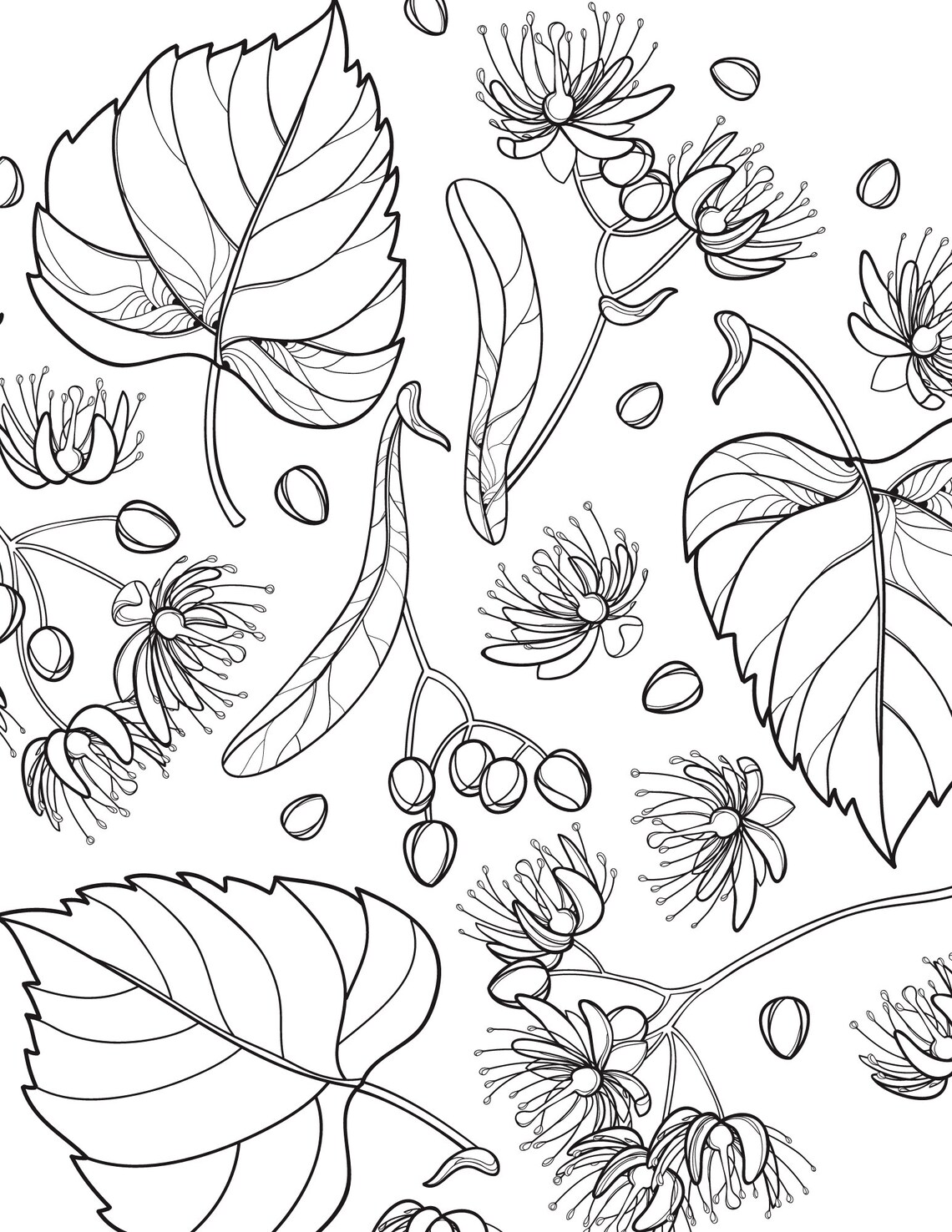 Plant Wallpaper Coloring Sheets - Etsy