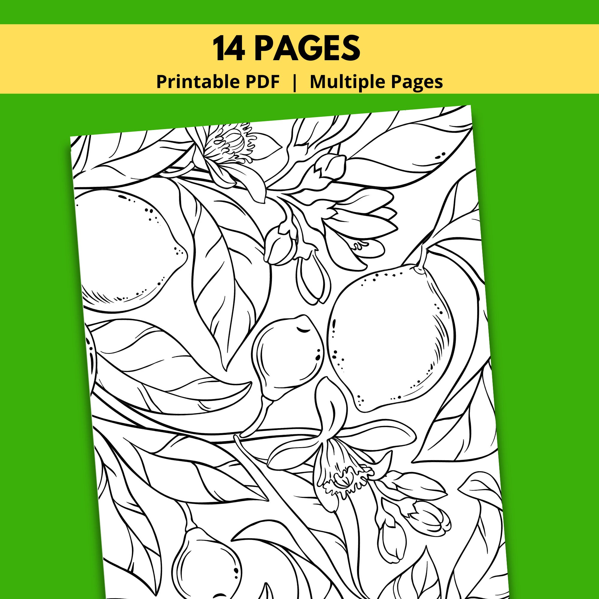 Plant Wallpaper Coloring Sheets - Etsy