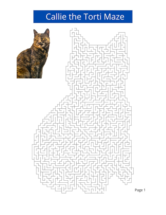 Cat Mazes