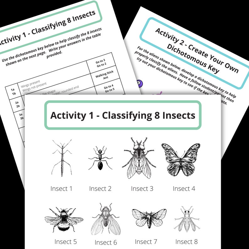 Using a Dichotomous Key - Etsy