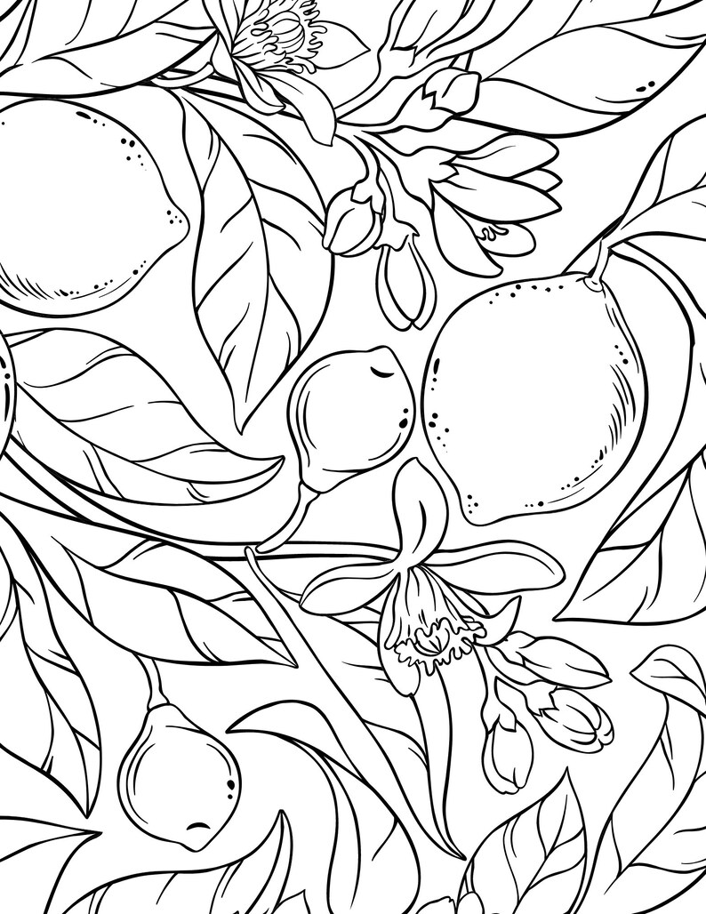 Plant Wallpaper Coloring Sheets - Etsy