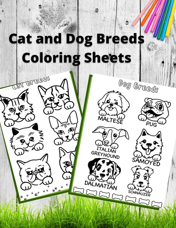 Cat and Dog Breeds Coloring Sheets - Etsy