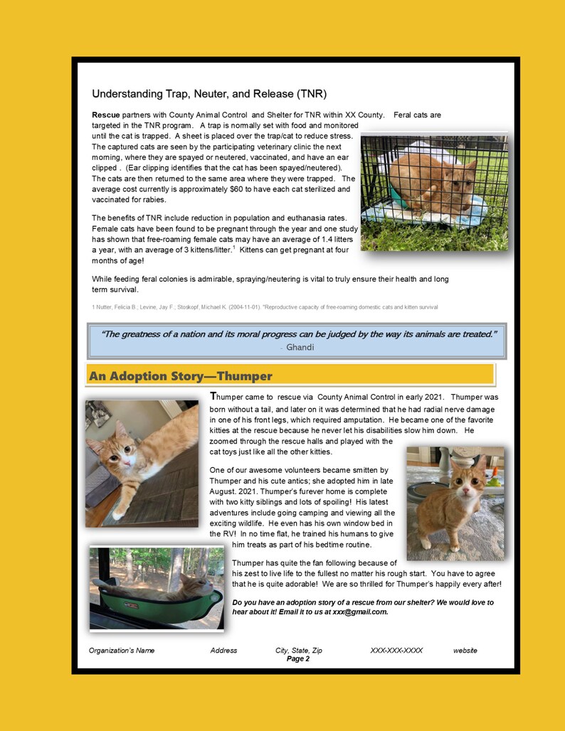Animal Rescue Newsletter Template - Etsy