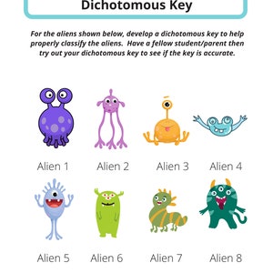 Using a Dichotomous Key - Etsy