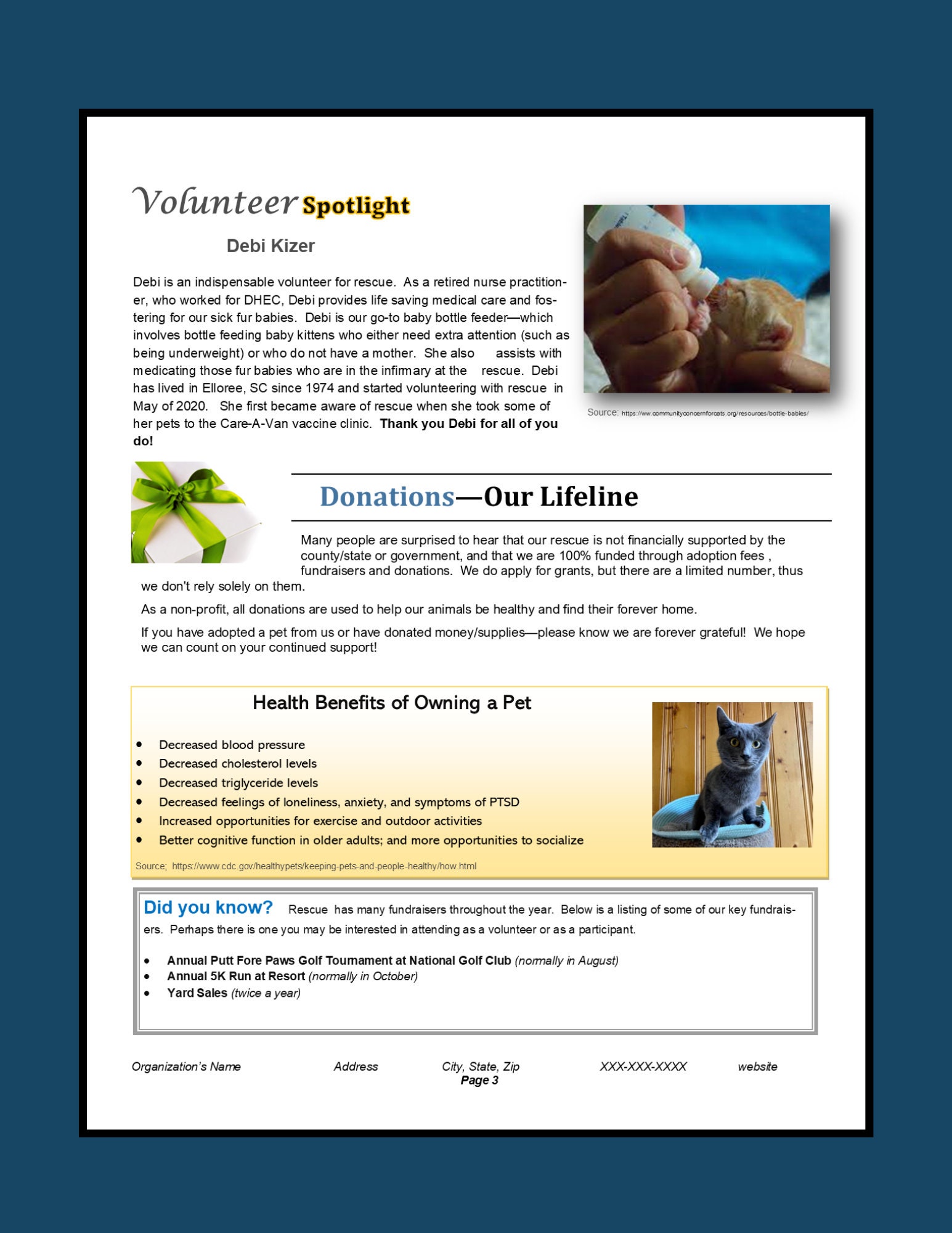 Animal Rescue Newsletter Template - Etsy