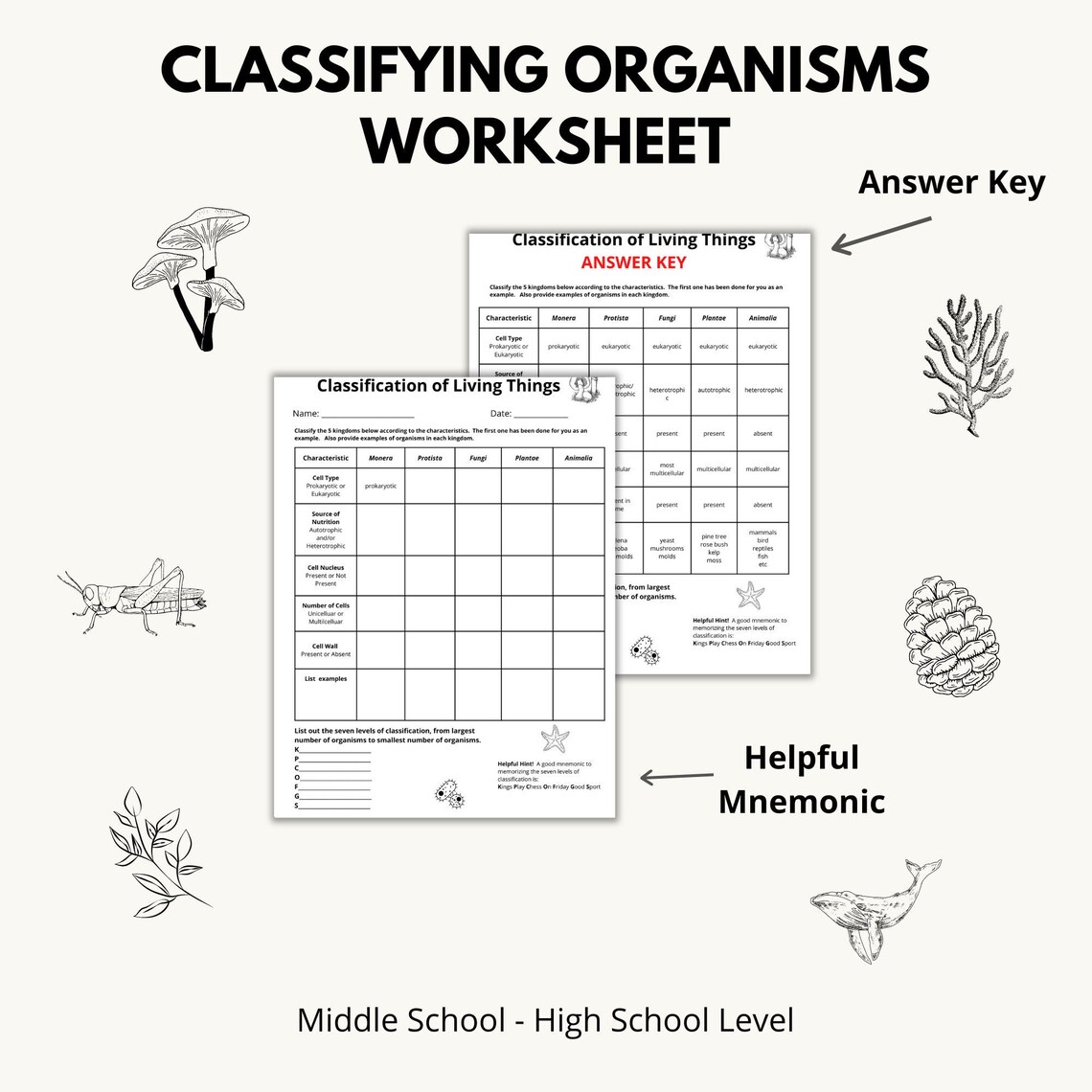 Classifying Organisms Worksheet - Etsy