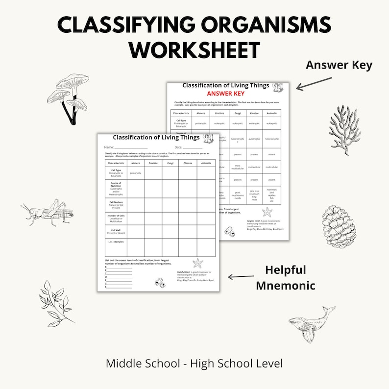 Classifying Organisms Worksheet - Etsy