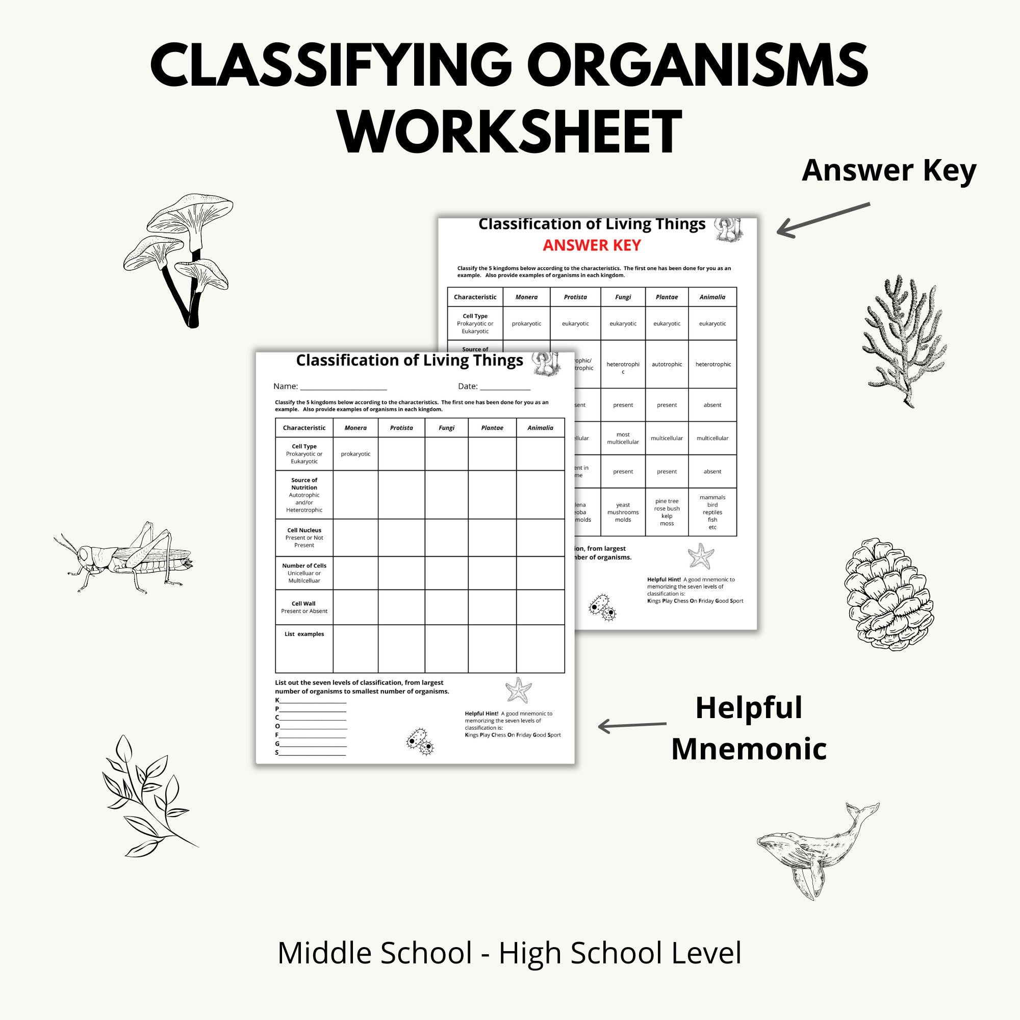 Kingdom Classification Worksheet