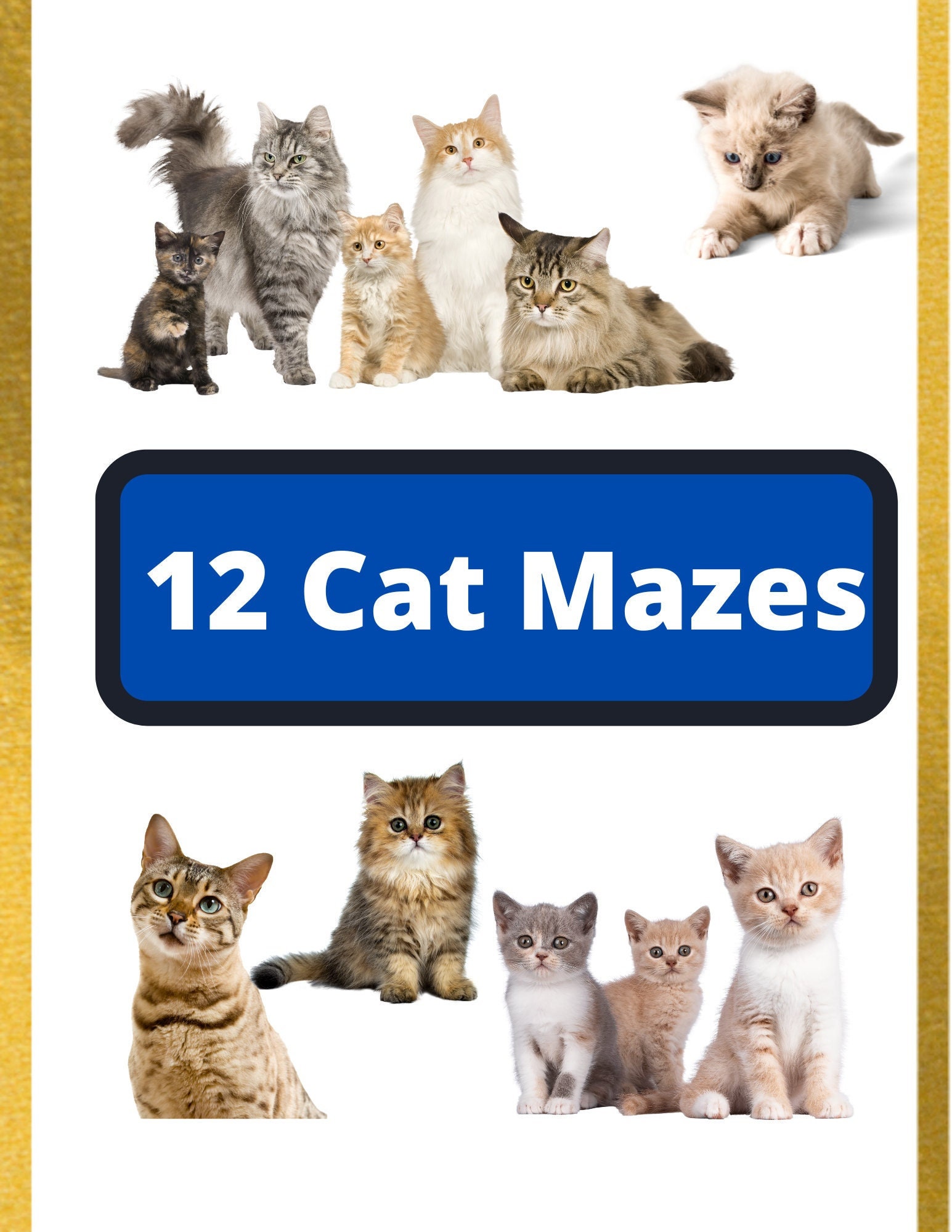 Cat Mazes