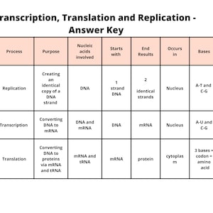 Biology Pack - Protein Synthesis, Cell Organelles and Cell Division ...