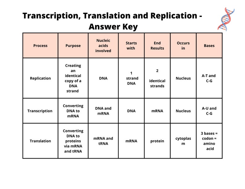 Biology Pack - Protein Synthesis, Cell Organelles and Cell Division ...