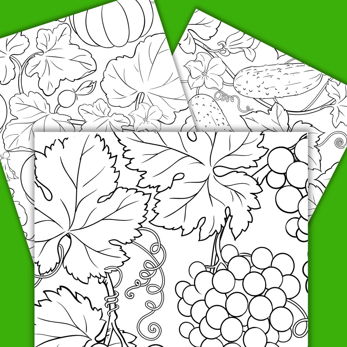 Plant Wallpaper Coloring Sheets - Etsy