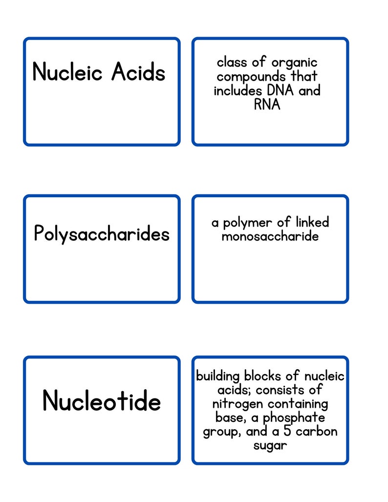 Biology Pack - Protein Synthesis, Cell Organelles and Cell Division ...