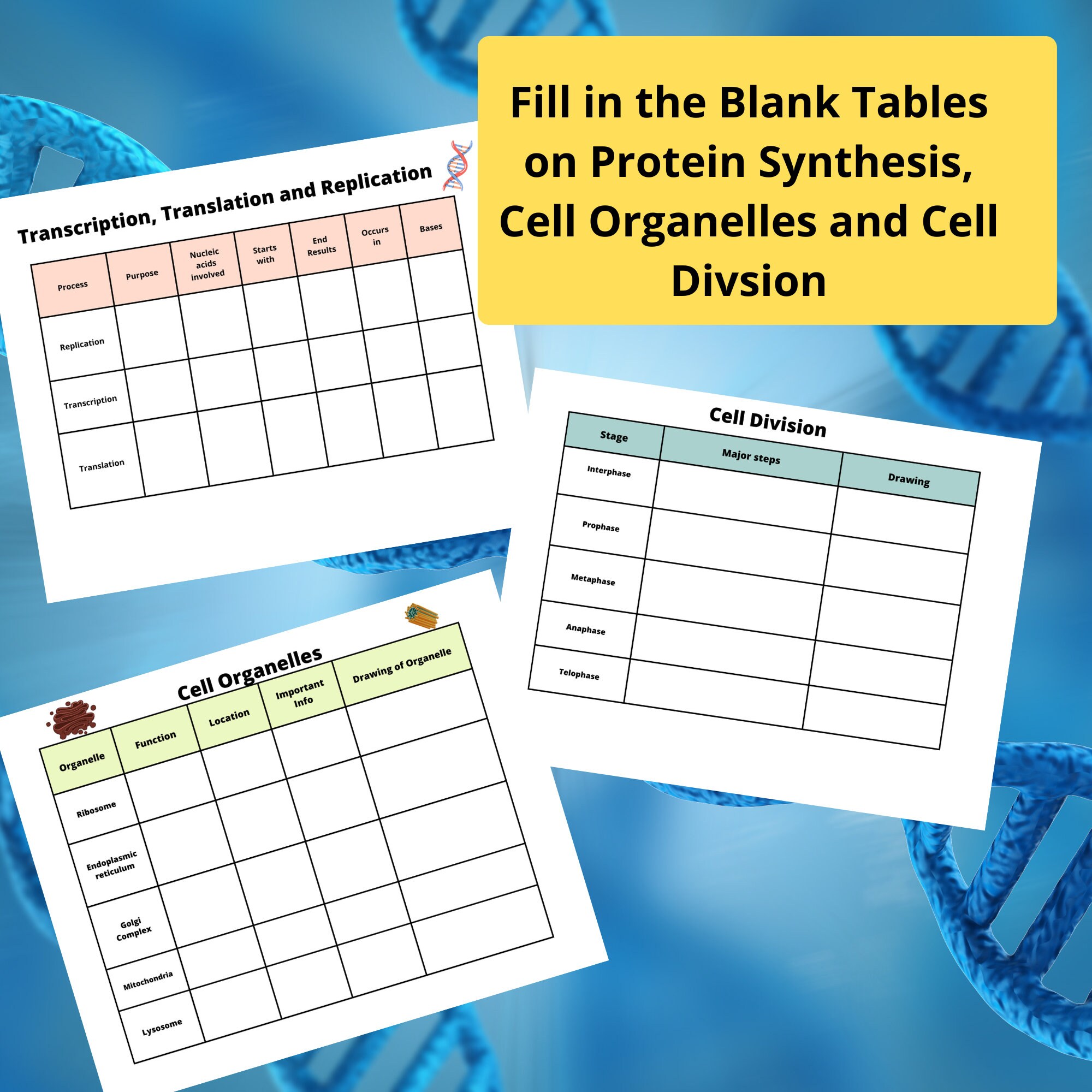 Biology Pack Protein Synthesis, Cell Organelles and Cell Division ...