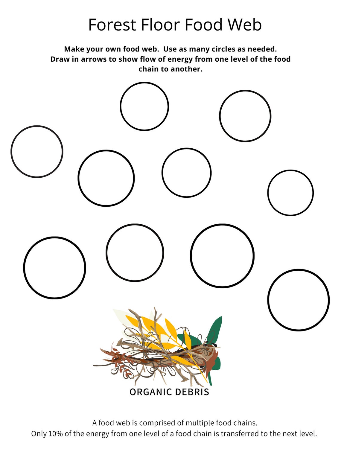 The Forest Floor Coloring Sheet and Worksheet - Etsy