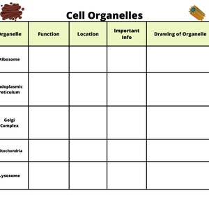 Biology Pack - Protein Synthesis, Cell Organelles and Cell Division ...