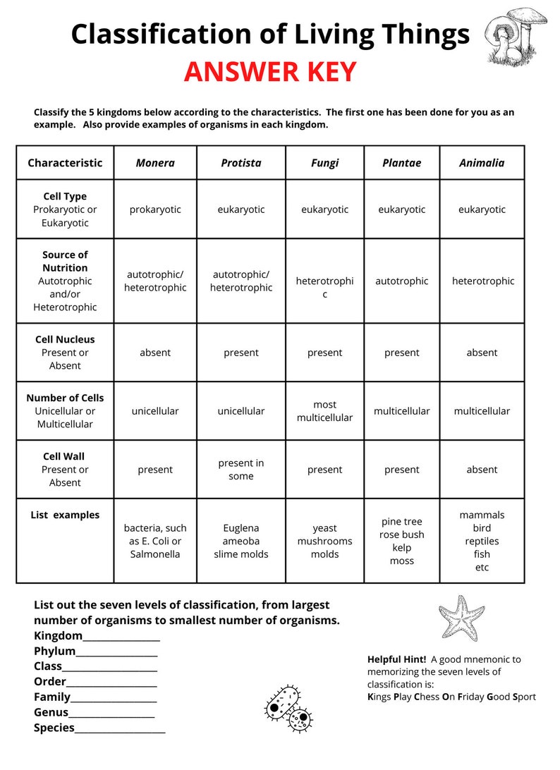 Classifying Organisms Worksheet - Etsy