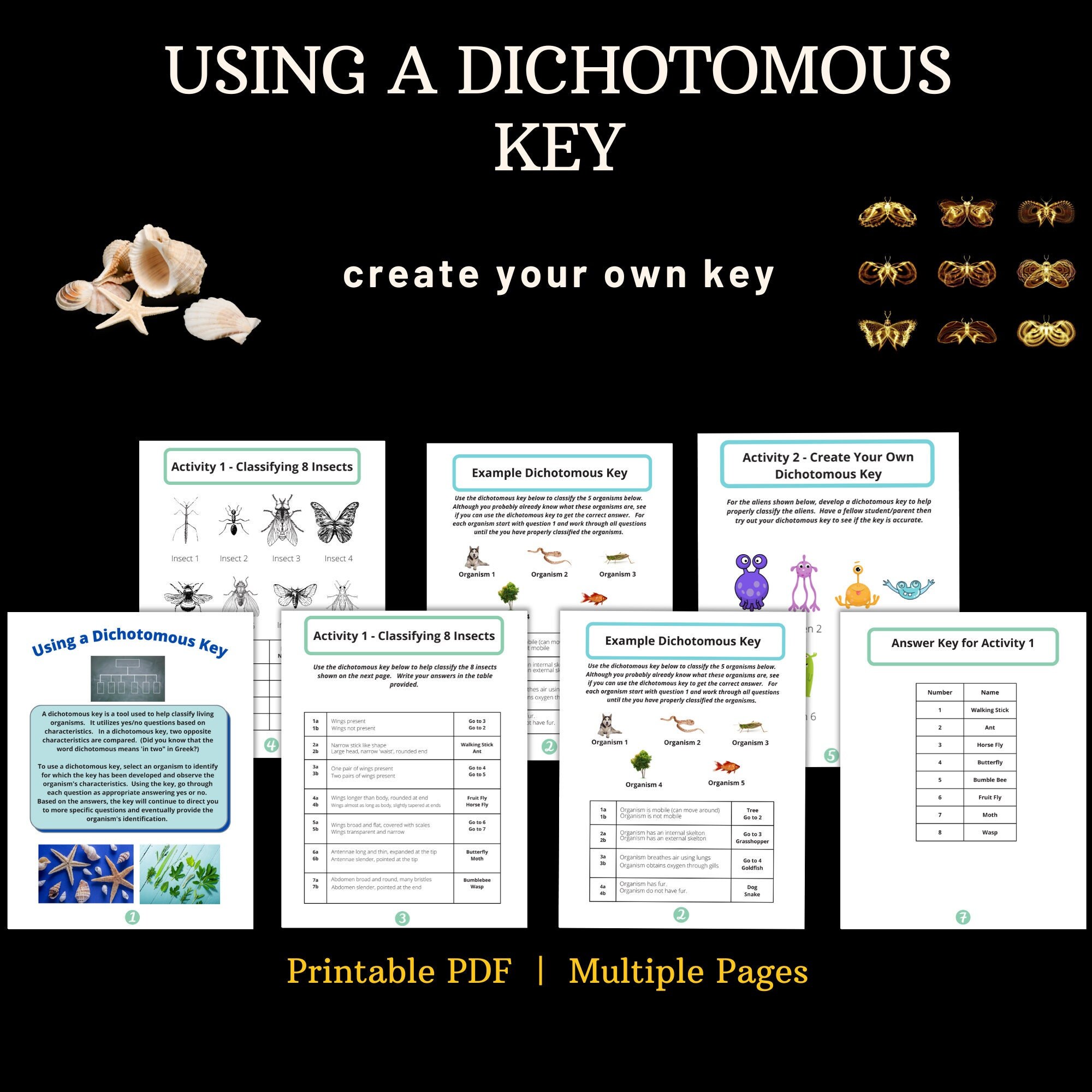 Blank Dichotomous Key Worksheet