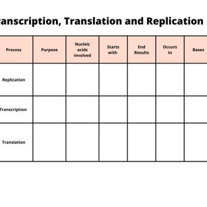 Biology Pack - Protein Synthesis, Cell Organelles and Cell Division ...