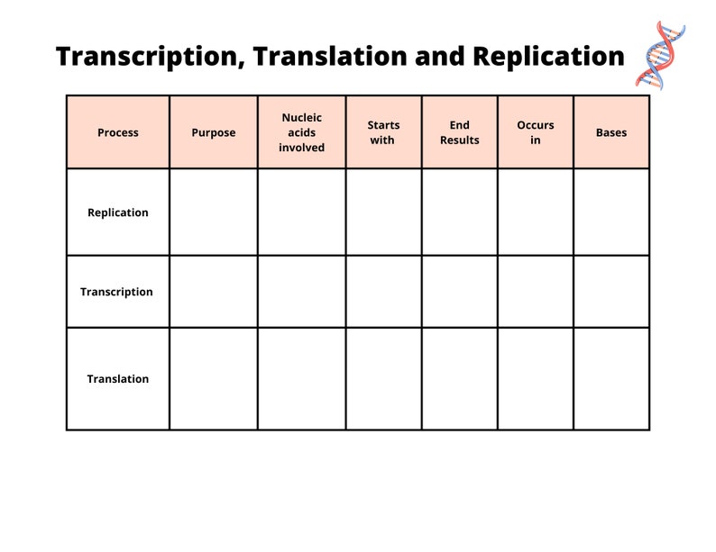 Biology Pack - Protein Synthesis, Cell Organelles and Cell Division ...