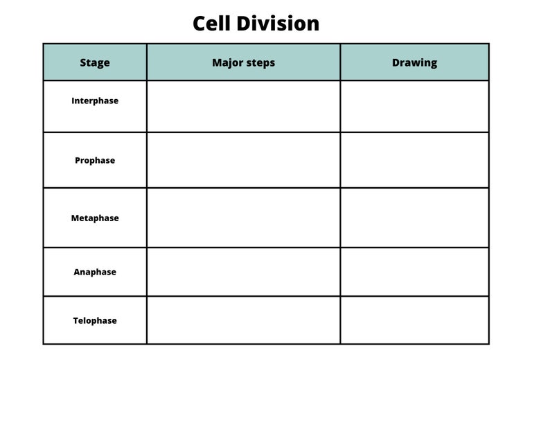 Biology Pack - Protein Synthesis, Cell Organelles and Cell Division ...