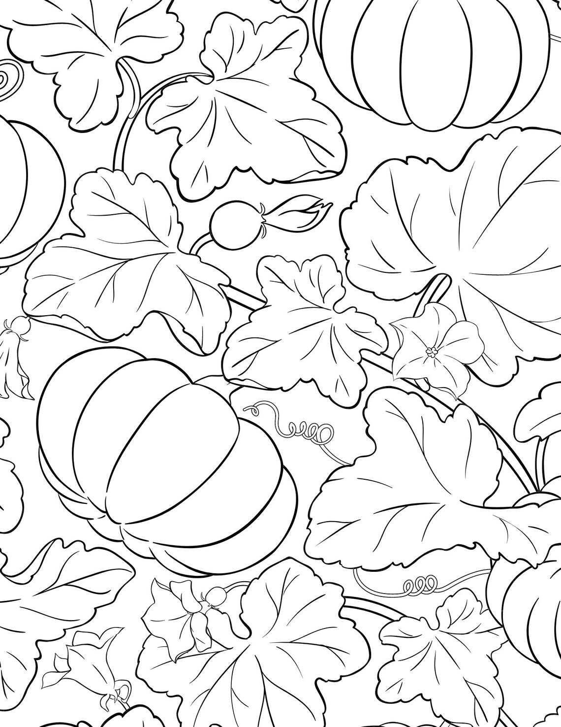 Plant Wallpaper Coloring Sheets - Etsy