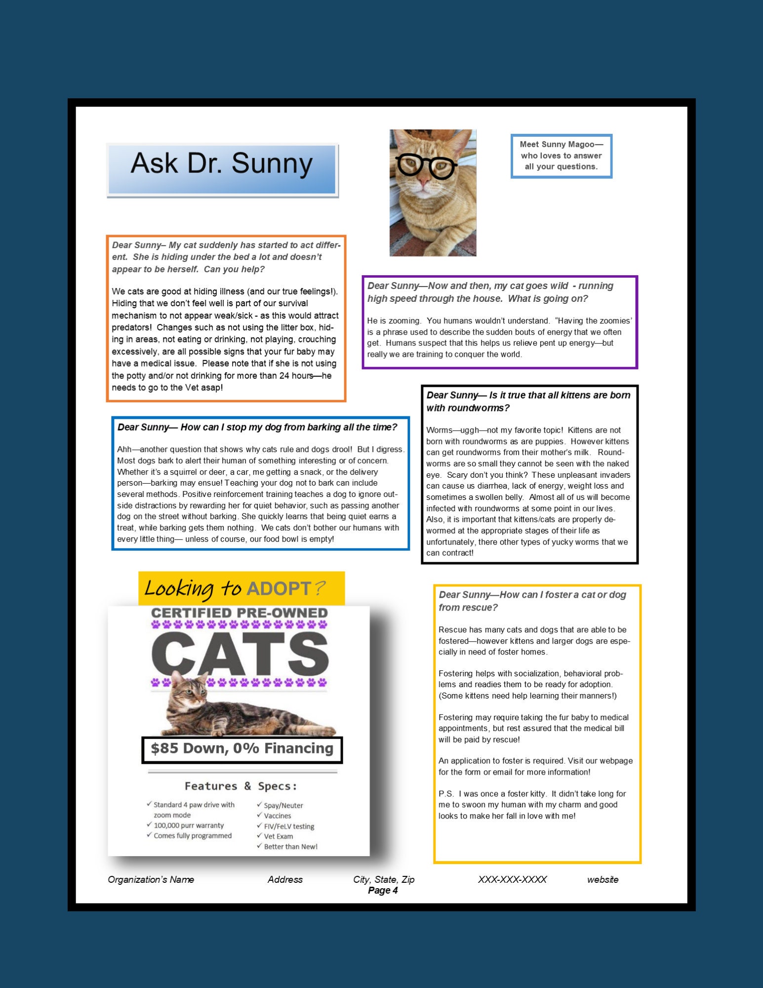 Animal Rescue Newsletter Template - Etsy