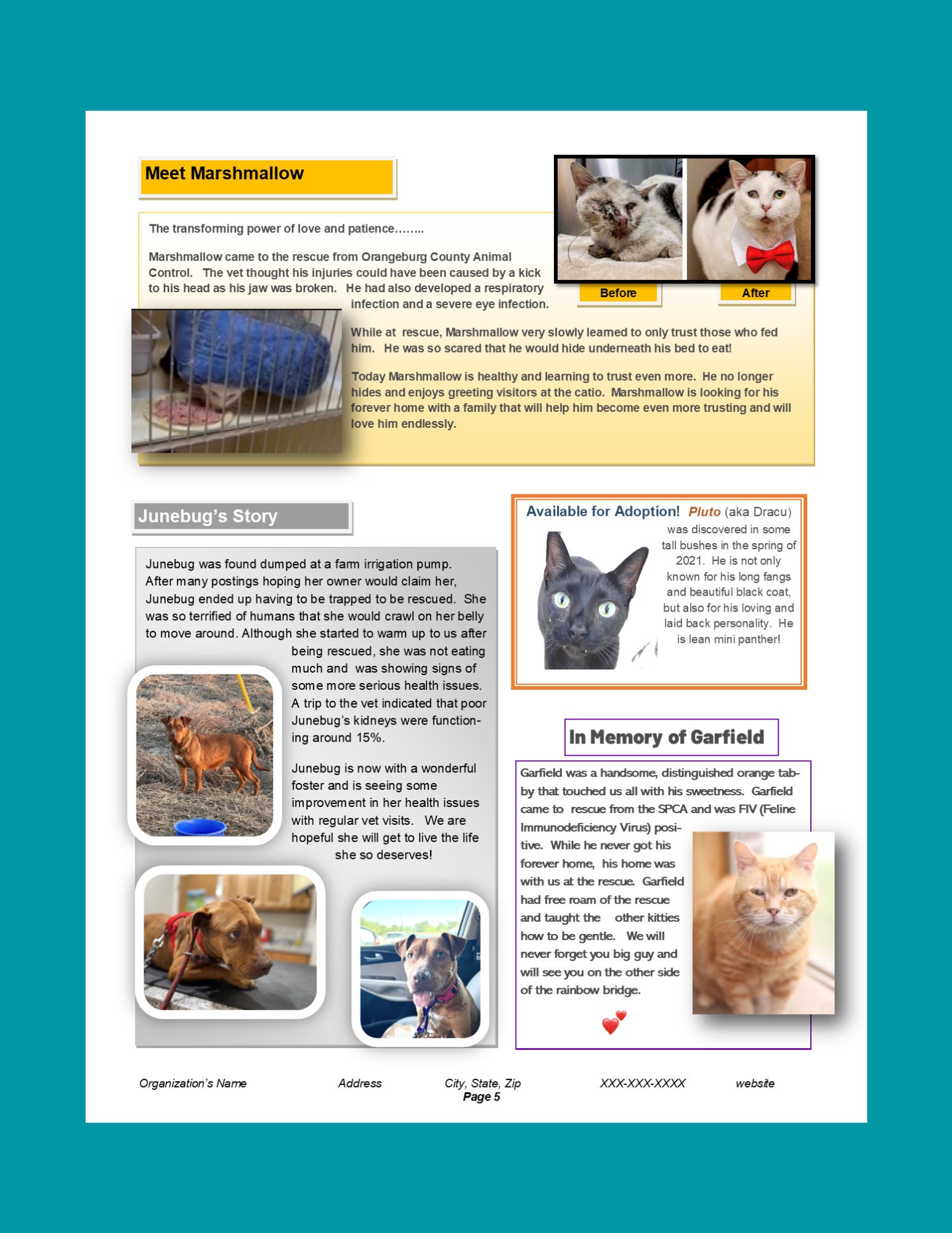 Animal Rescue Newsletter Template - Etsy