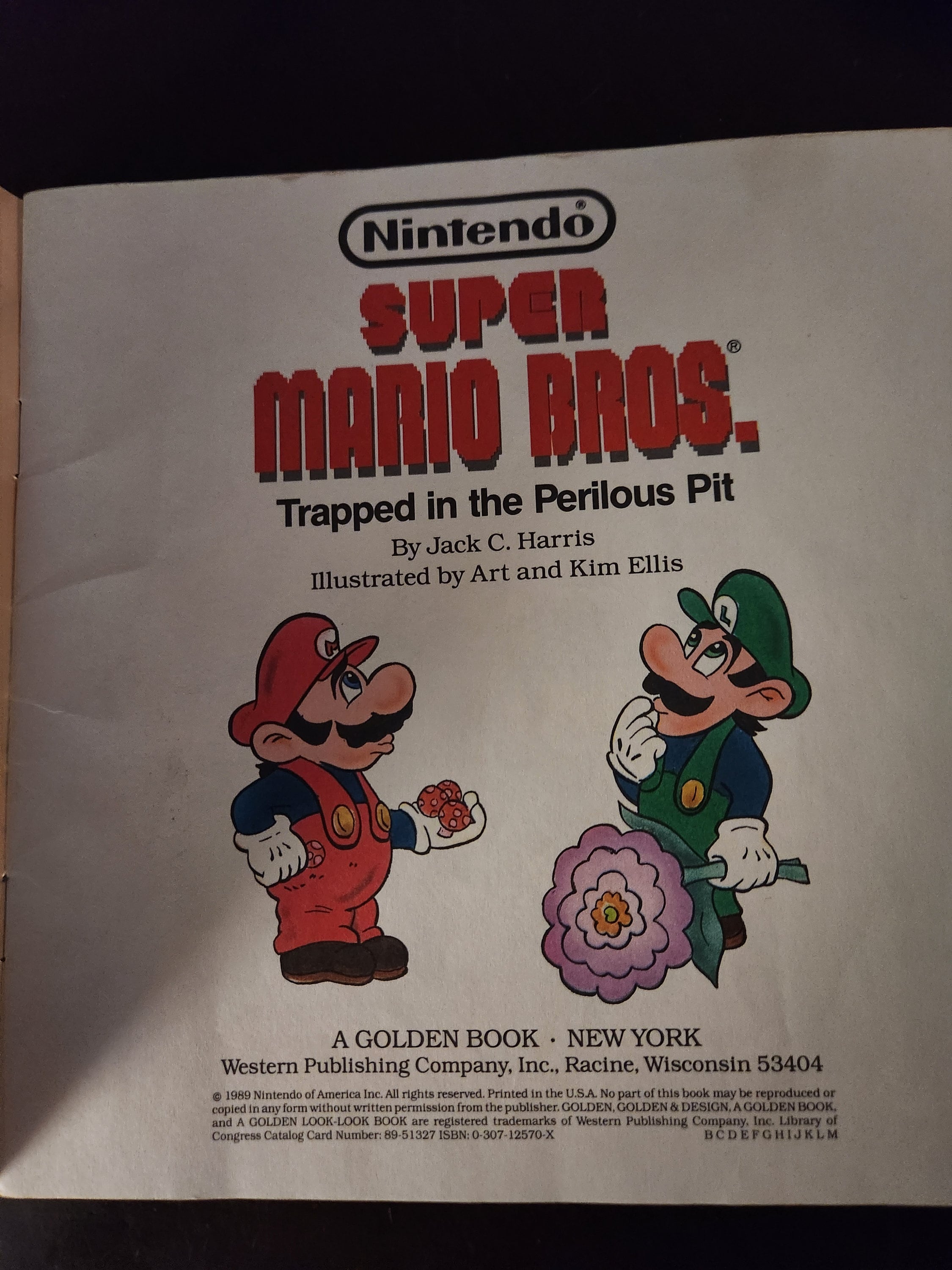 Nintendo Super Mario Bros. Trapped in the Perilous Pit Vintage - Etsy