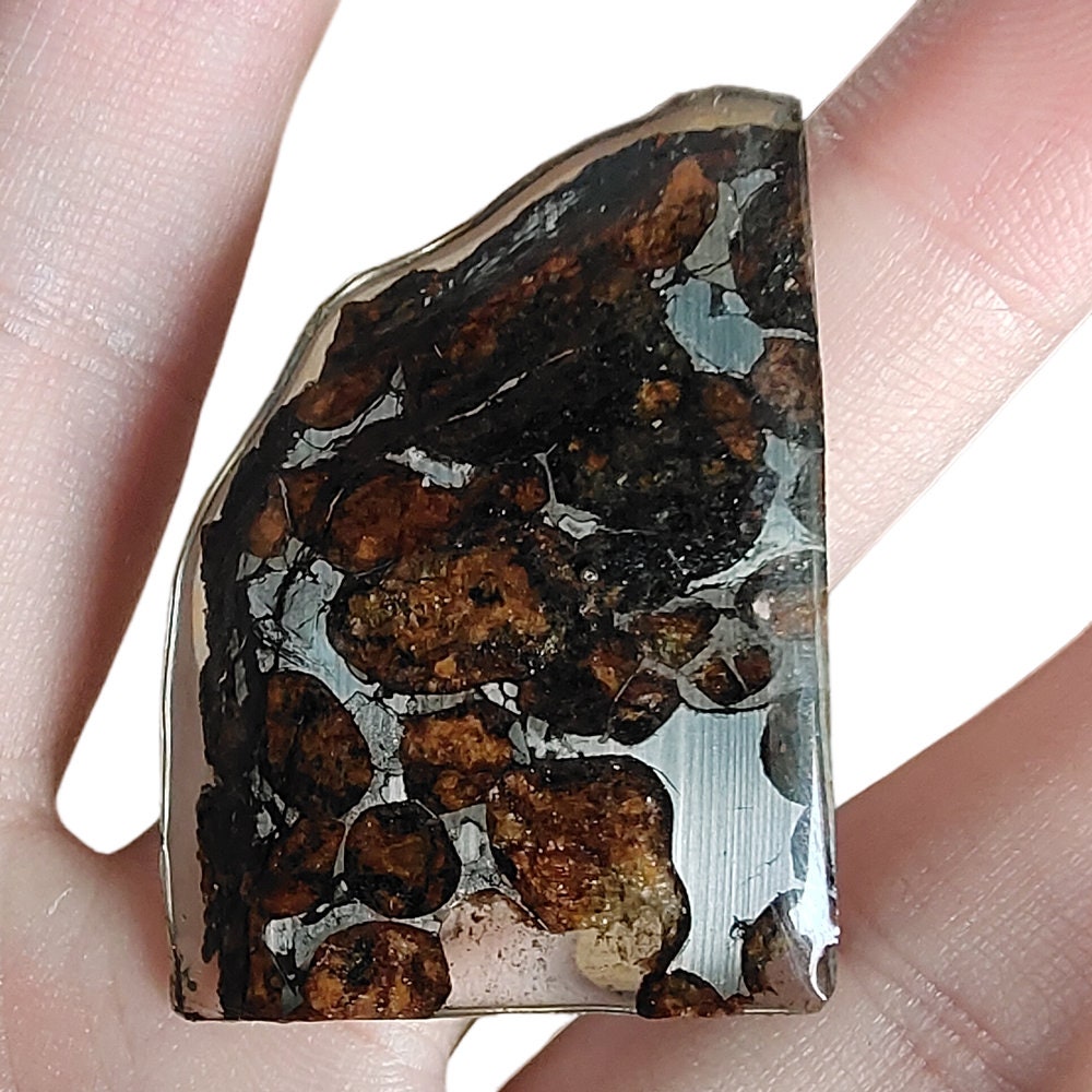 SERICHO Pallasite Olive Meteorite Slices Natural Meteorite Material ...