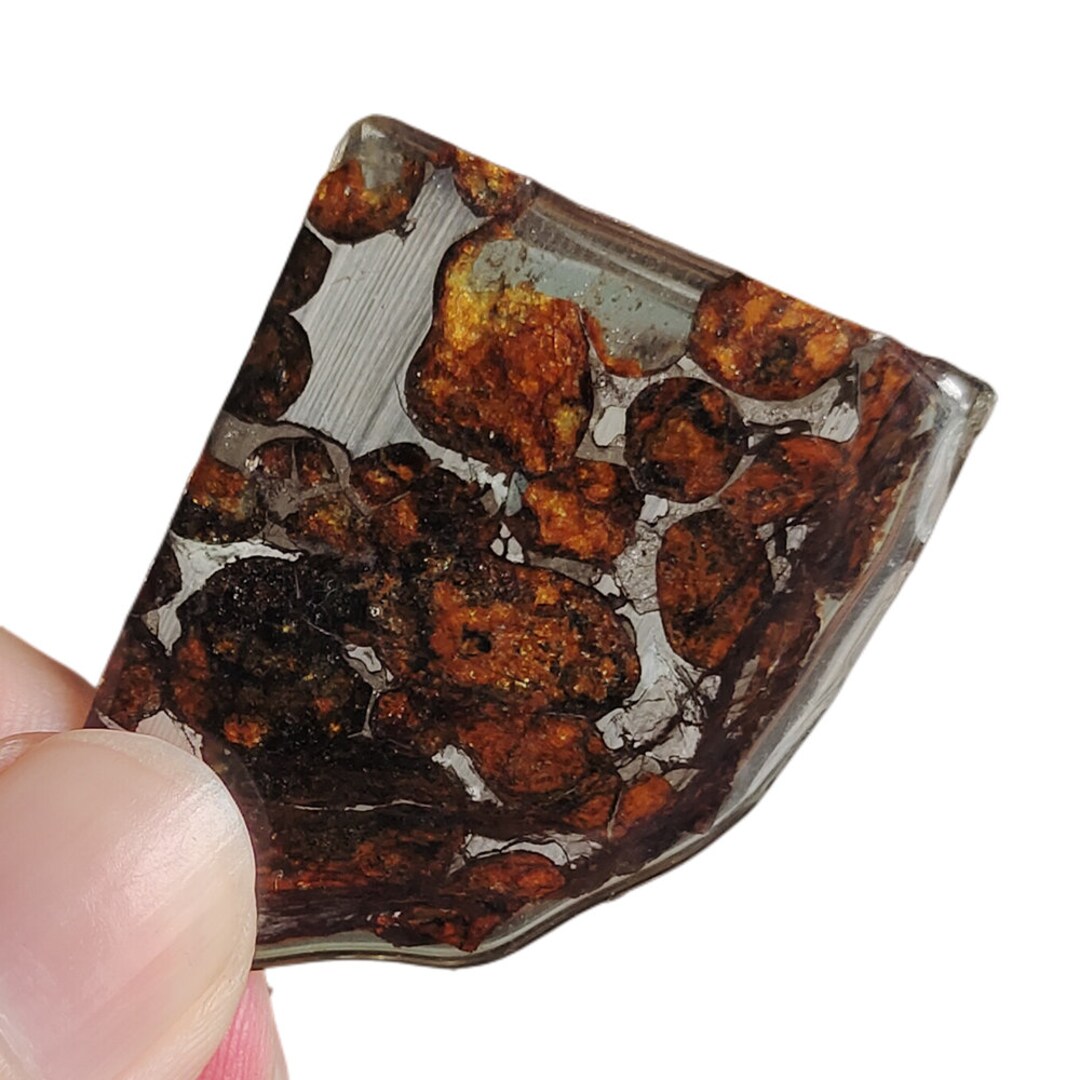 SERICHO Pallasite Olive Meteorite Slices Natural Meteorite Material ...