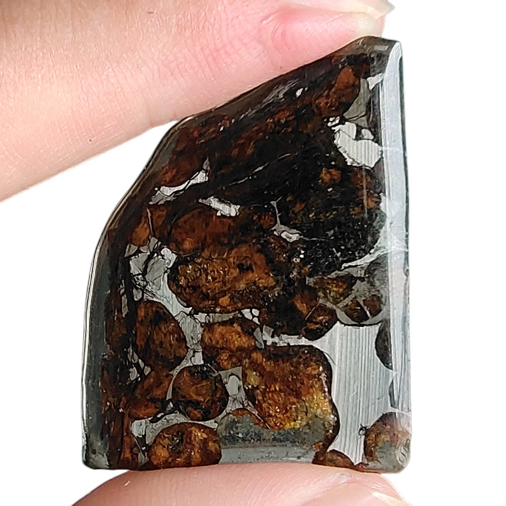 SERICHO Pallasite Olive Meteorite Slices Natural Meteorite Material ...